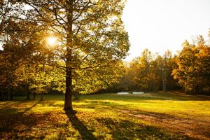 Decorating Tips for a Night-Time Fall Wedding - Kelley Nan