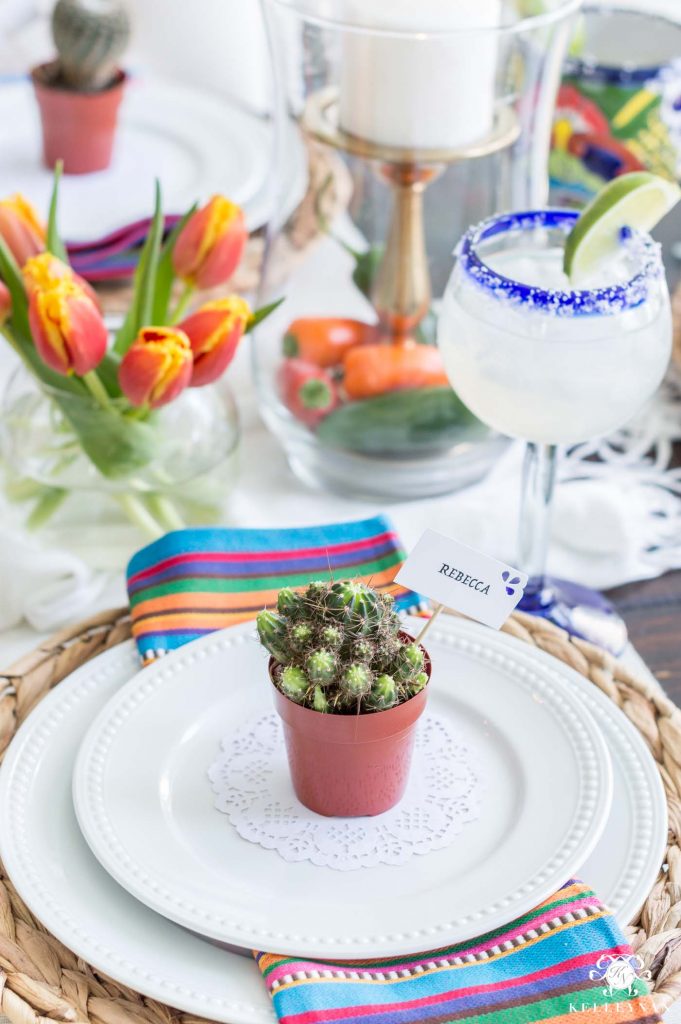 6 Cinco de Mayo Party Ideas (Recipes, Decor, & More) - Kelley Nan