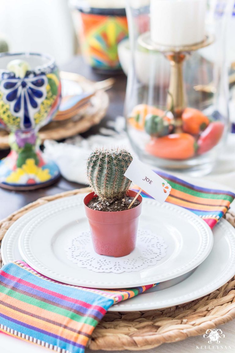 6 Cinco de Mayo Party Ideas (Recipes, Decor, & More) - Kelley Nan