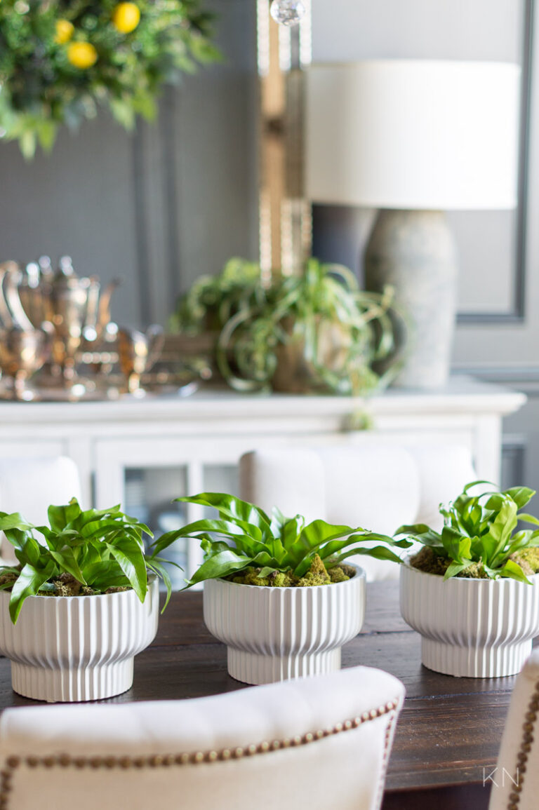 16 Ideas for Indoor Planters - Kelley Nan