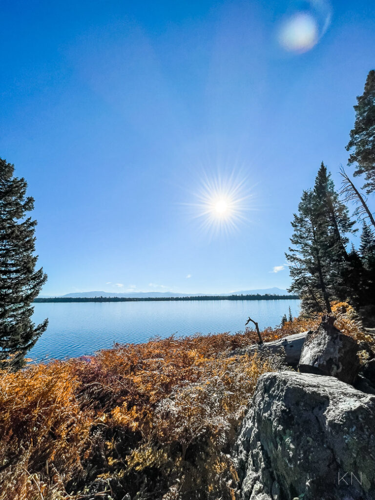 5 Days in Jackson Hole - Trip Itinerary & Highlights - Kelley Nan