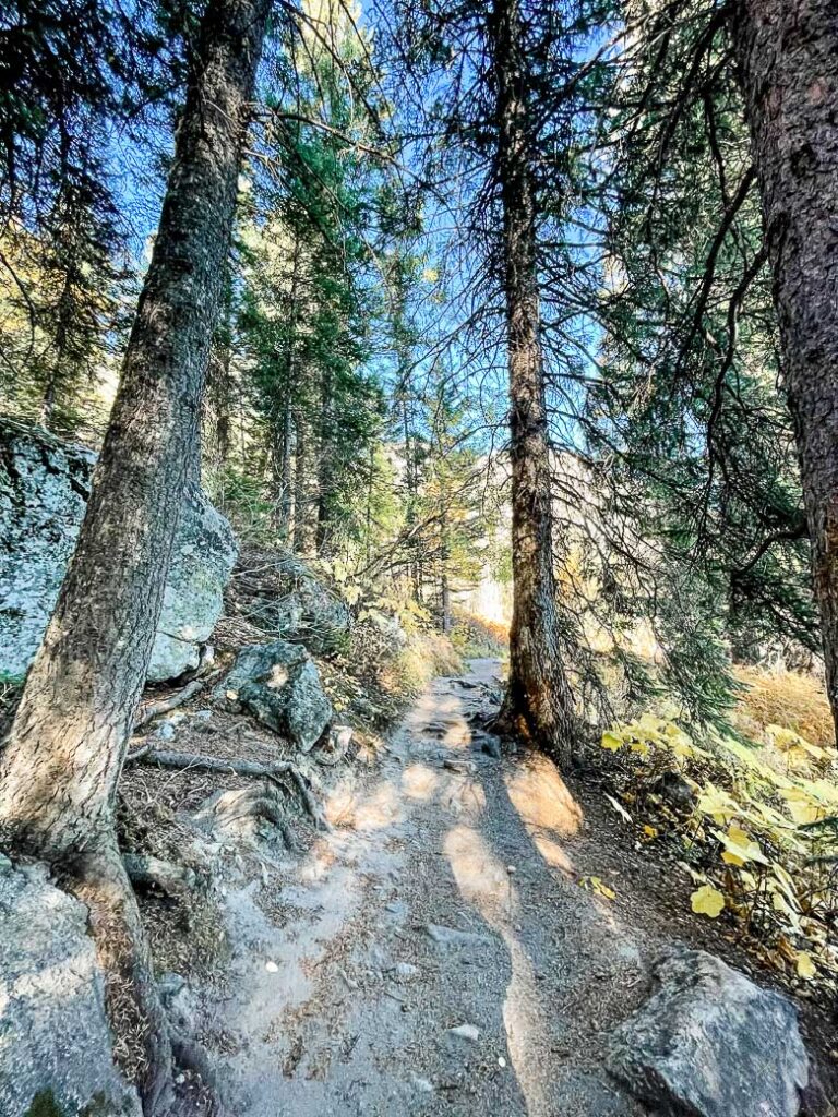 5 Days in Jackson Hole - Trip Itinerary & Highlights - Kelley Nan