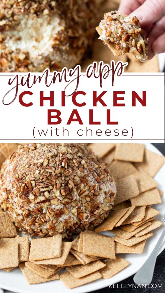 Chicken Ball Appetizer Recipe- Kelley Nan