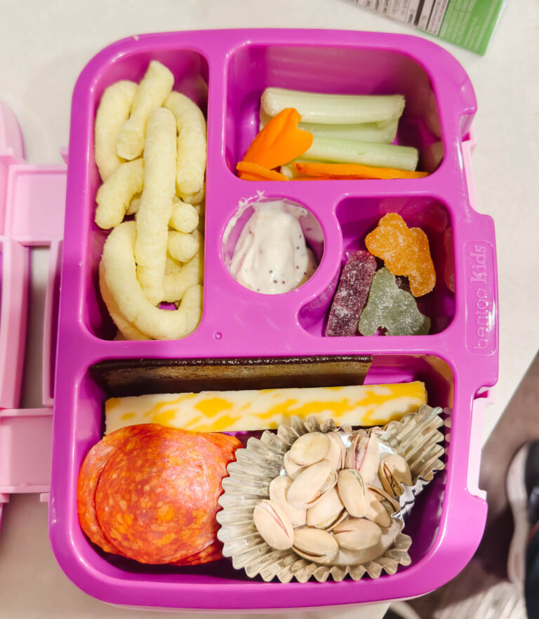 25 Real Life Kids Bento Box Lunch Ideas - Kelley Nan