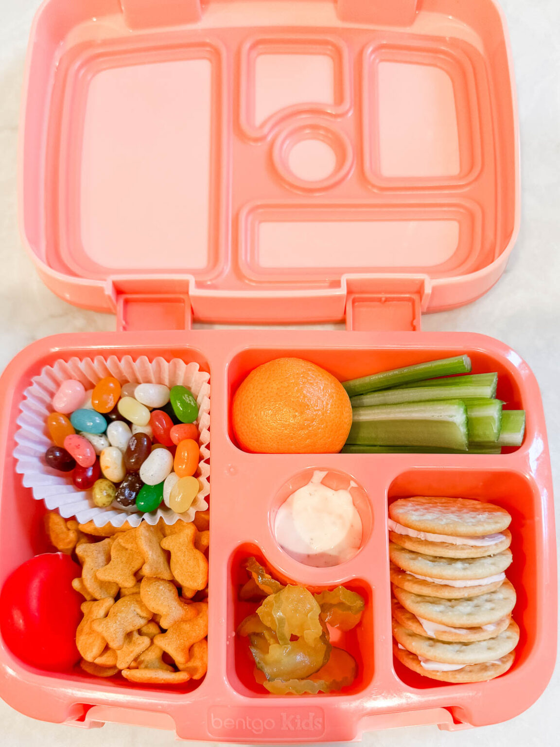 25 Real Life Kids Bento Box Lunch Ideas - Kelley Nan