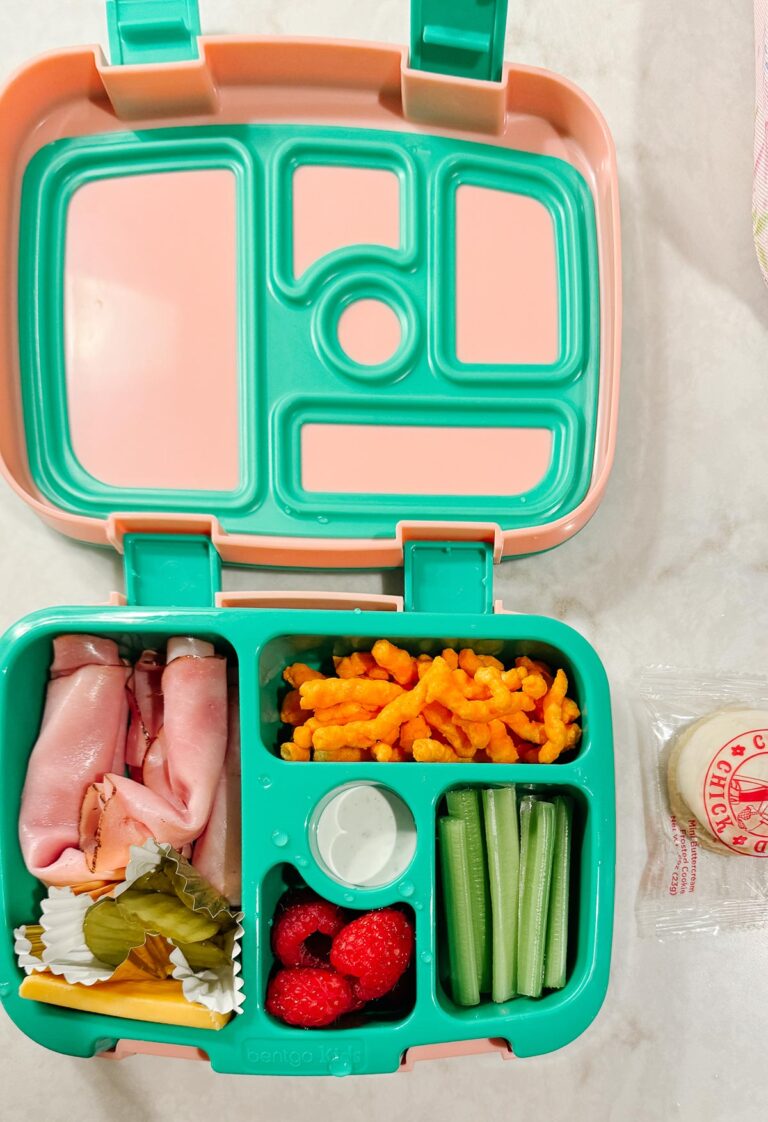 25 Real Life Kids Bento Box Lunch Ideas - Kelley Nan