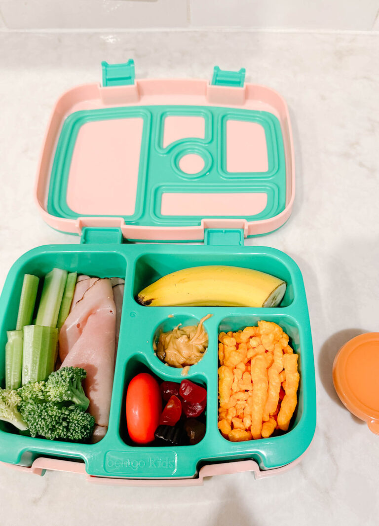25 Real Life Kids Bento Box Lunch Ideas - Kelley Nan