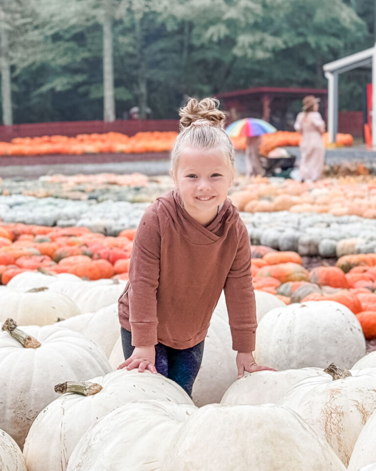 10 Favorite Fall Family Activities in North Georgia - Kelley Nan